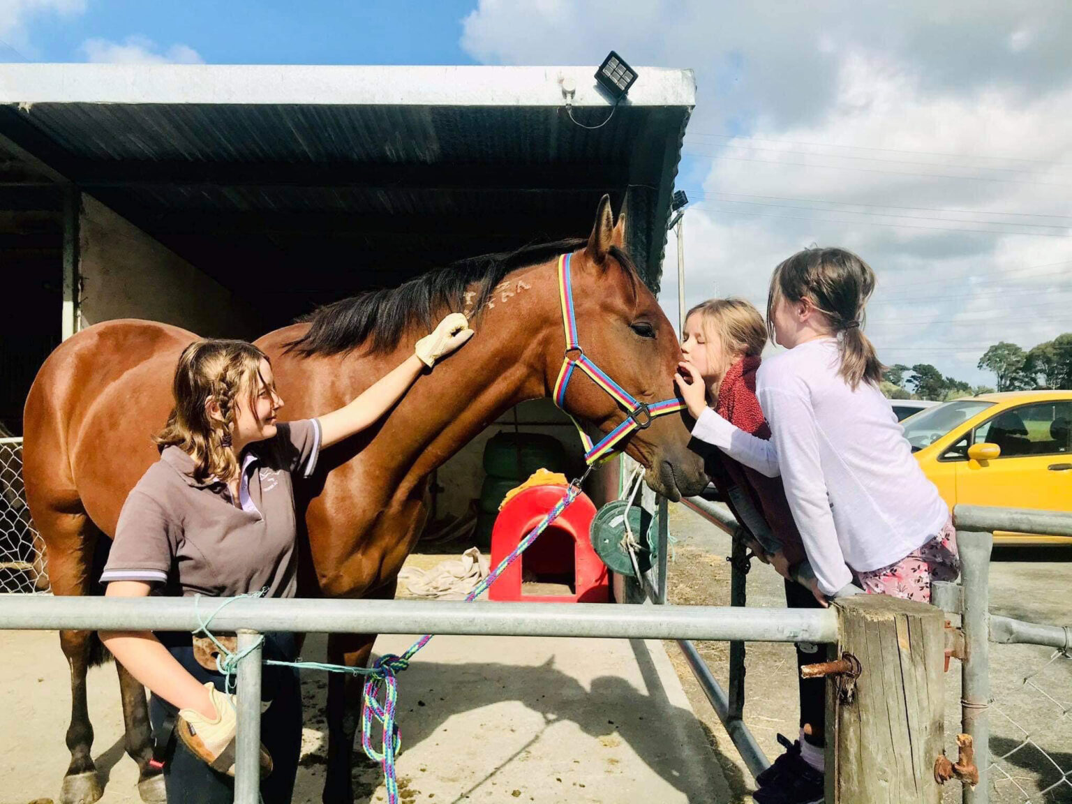 HERO horse eligibility - Harness Hero NZ