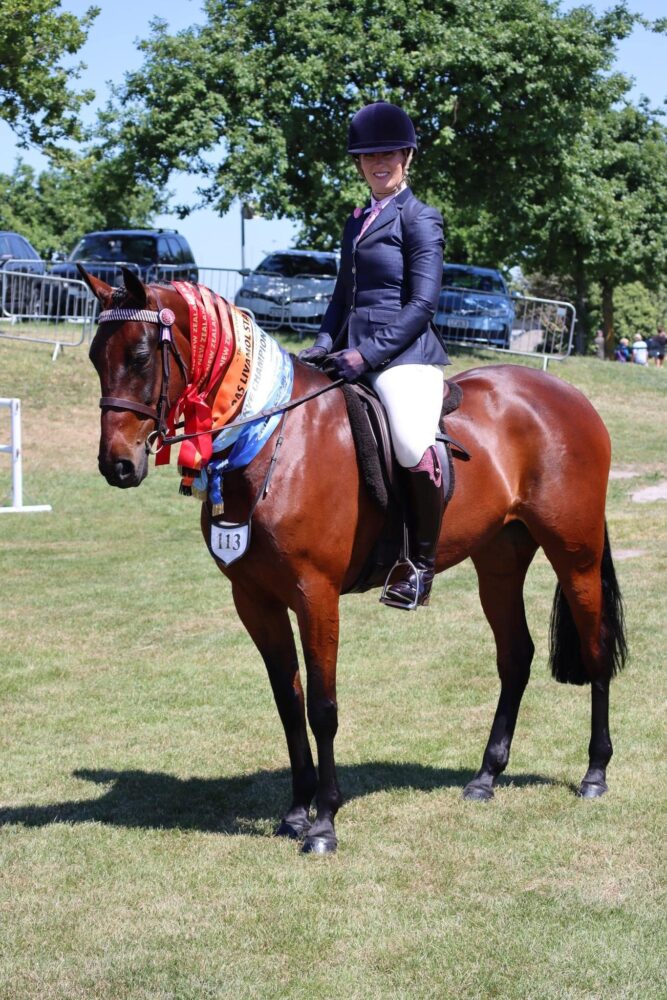 Harness Hero NZ - Harness Education & Rehoming Opportunities