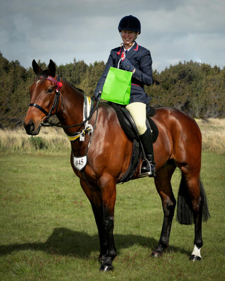 Harness Hero NZ - Harness Education & Rehoming Opportunities